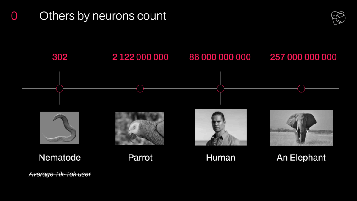 What Is Intelligence, Really? Humans, Animals, and Machines Compared